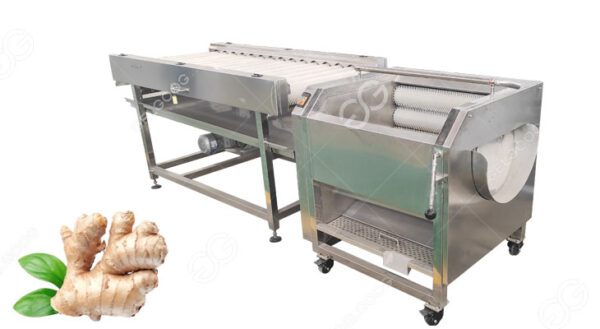 Industrial Fresh Ginger Washing Skin Peeling Machine