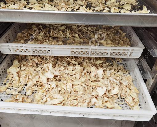 how to dehydrated ginger