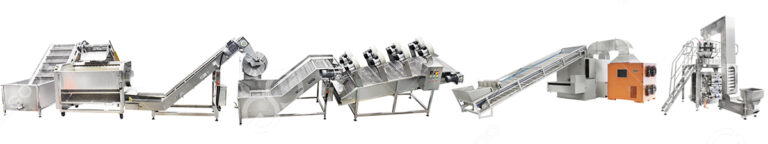 Industrial Dehydrated Ginger & Ginger Slices Processing Line