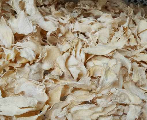 Is Ginger Drying Business Profitable?