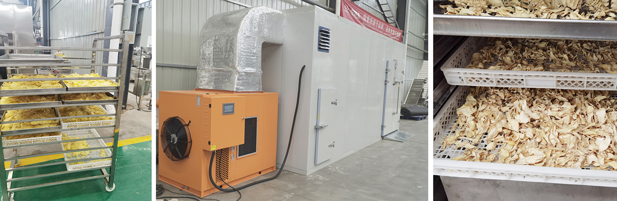 Industrial Ginger Heat Pump Dryer Drying Machine