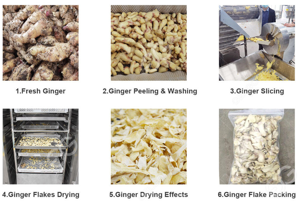 Industrial Dehydrated Ginger & Ginger Slices Processing Line