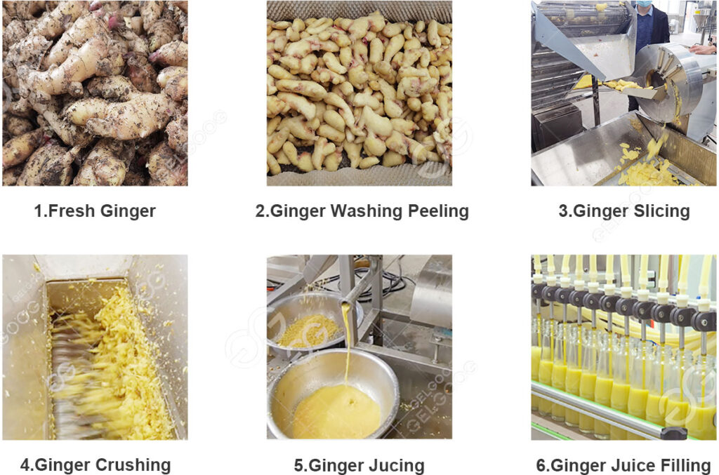 Fully Automatic Ginger Juice Making Processing Machine