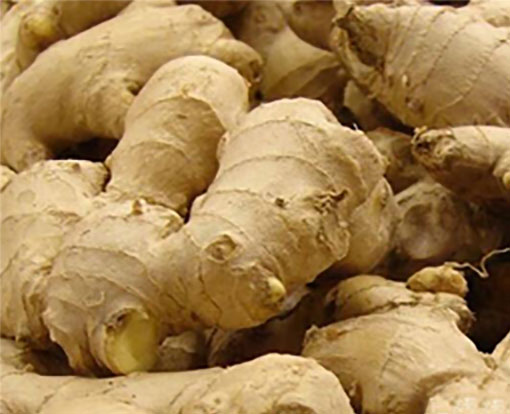 Ginger Processing Doubles Market Profits
