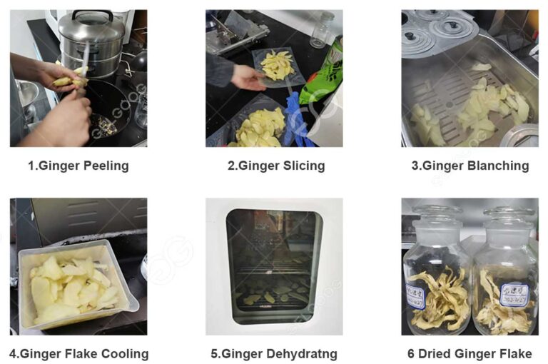 Ginger Drying /Dehydrating Experiment Report