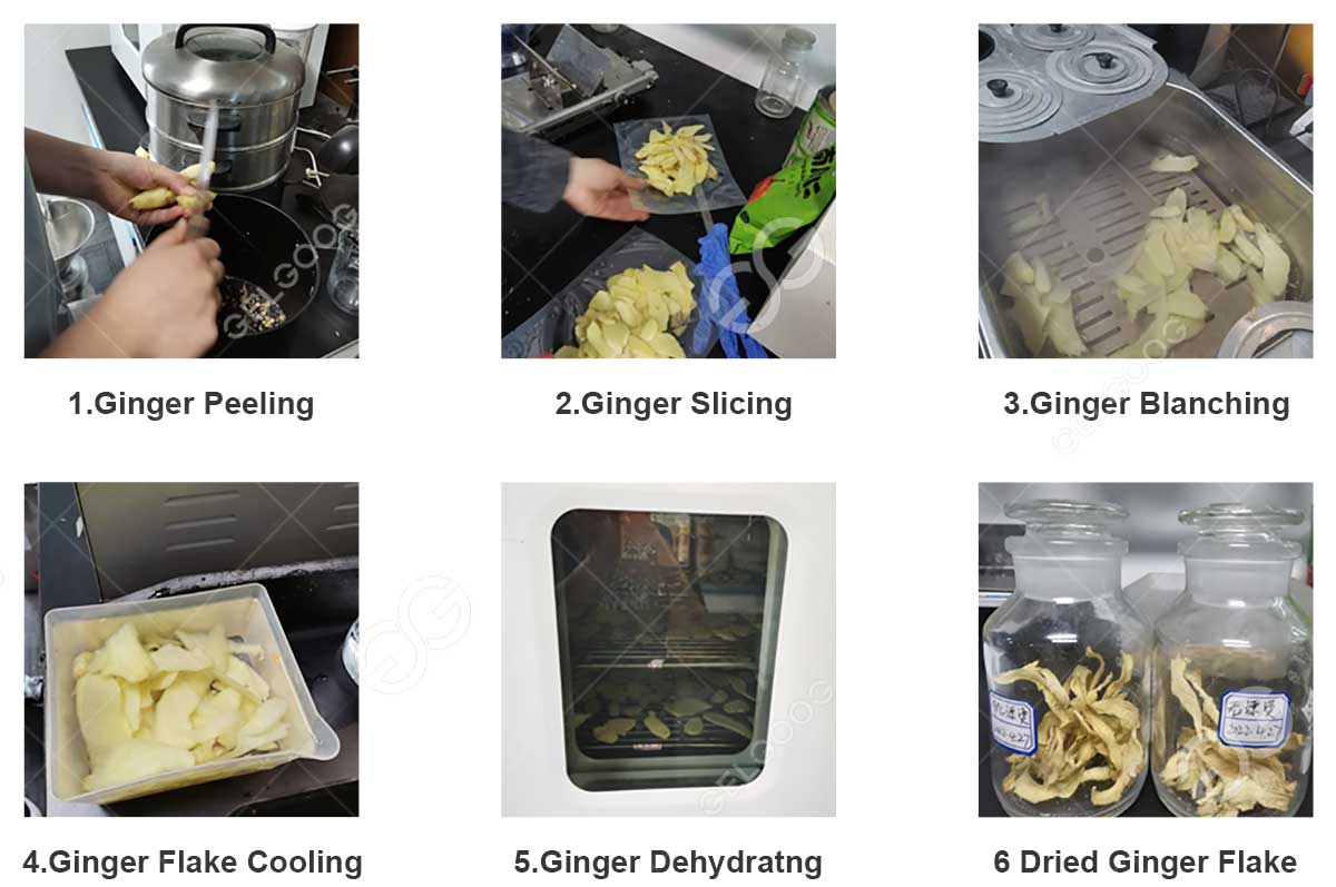 Ginger Drying /Dehydrating Experiment Report