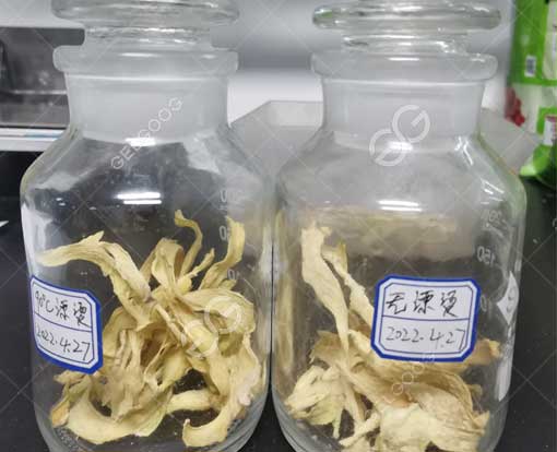 Ginger Drying /Dehydrating Experiment Report