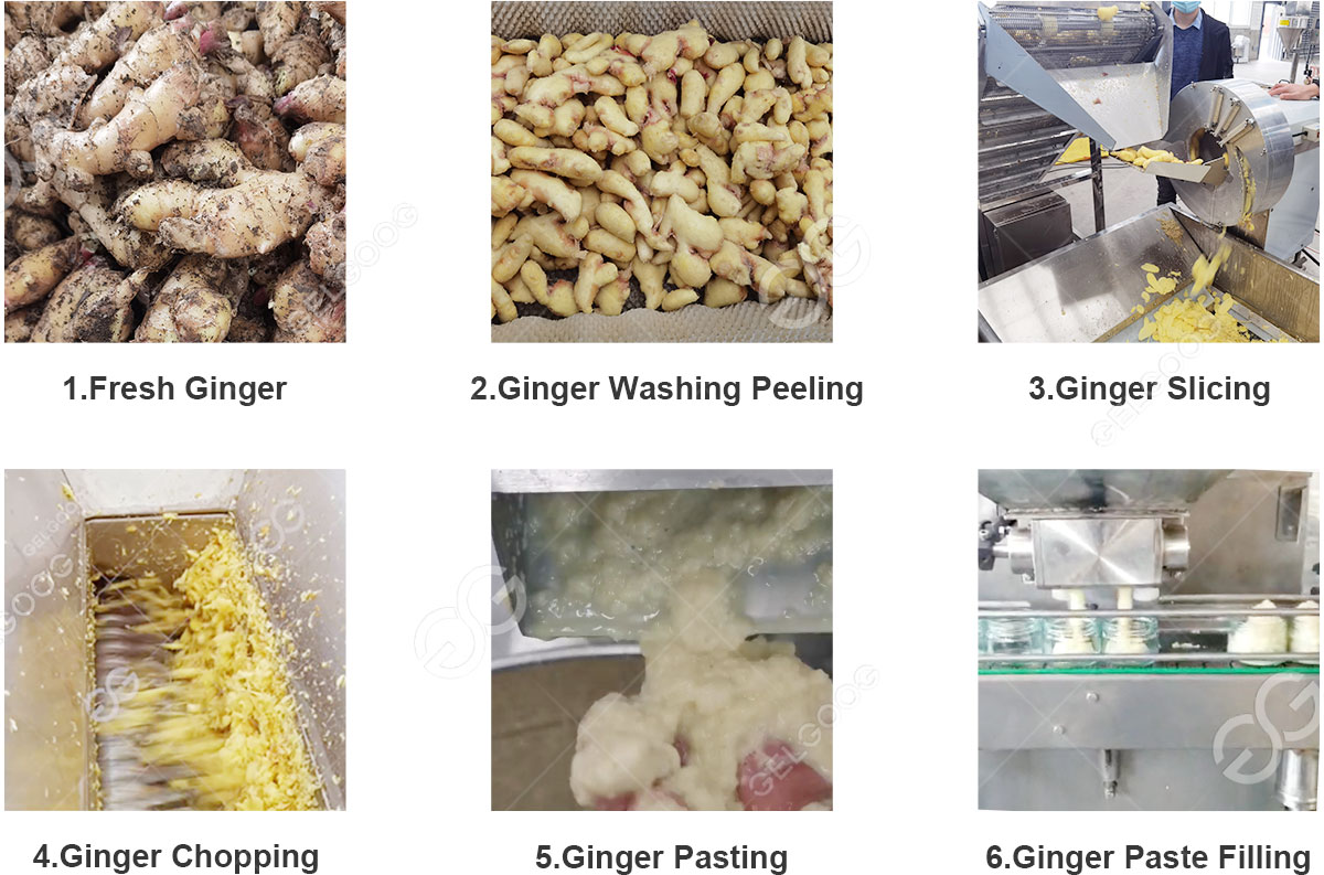 How Is Ginger Garlic Paste Made in Factories?
