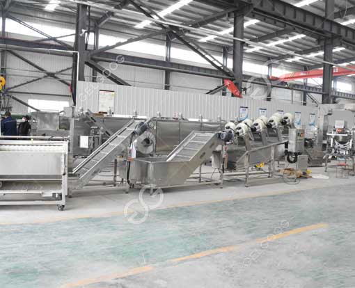 Industrial Ginger Powder Manufacturing Process