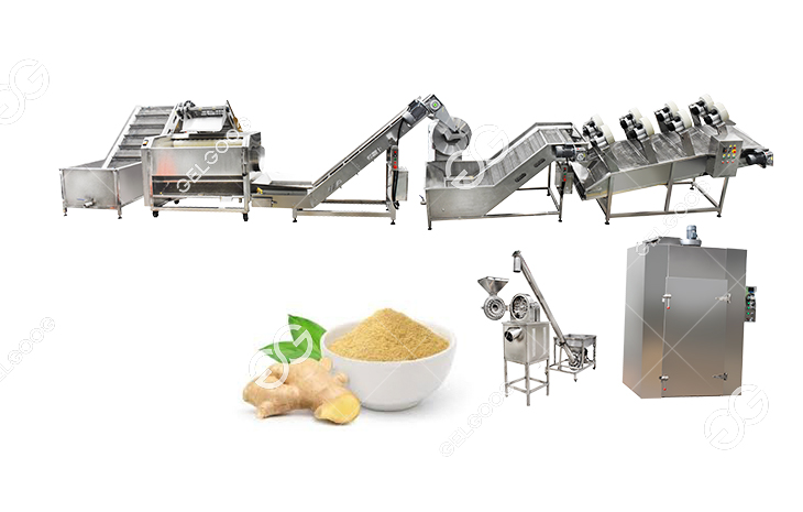 How Is Ginger Made Into Powder In A Factory?