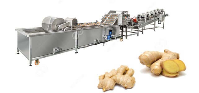 Types of Ginger Washing Machine - Ginger Processing Expert