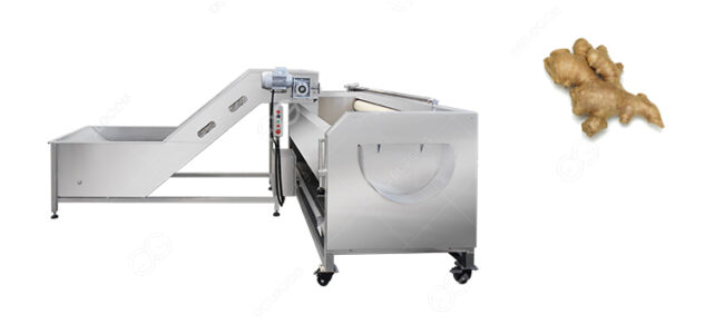 What’s The Best Way to Clean Ginger Root? - Ginger Processing Expert