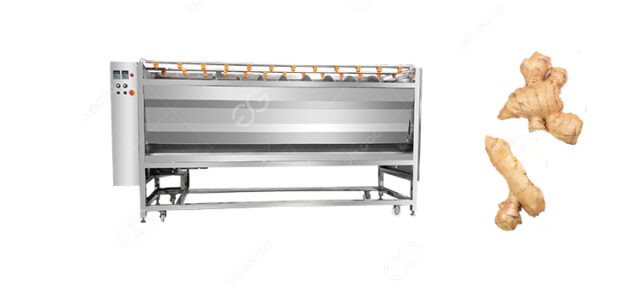 Ginger Cleaning Machine Benefits - Ginger Processing Expert