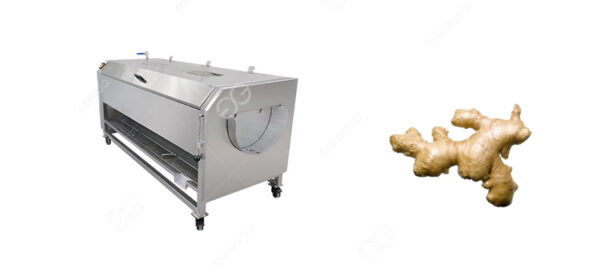 How to Use Machine for Ginger Washing? - Ginger Processing Expert