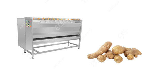 Which Peeling Method Is Used in Peeling of Ginger Commercially ...