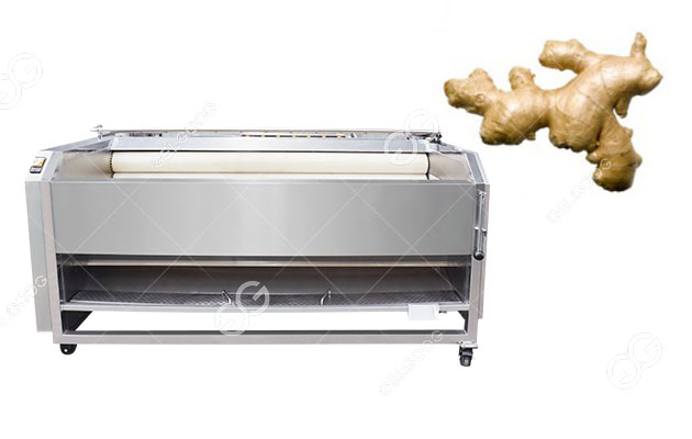 How To Wash Ginger In Factory